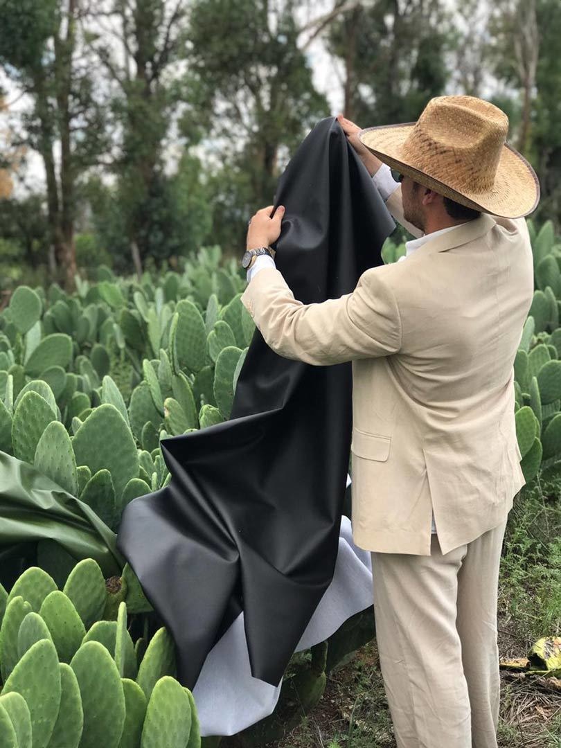 Mexican Inventors Create Totally Vegan Cactus Leather – Mystical Raven