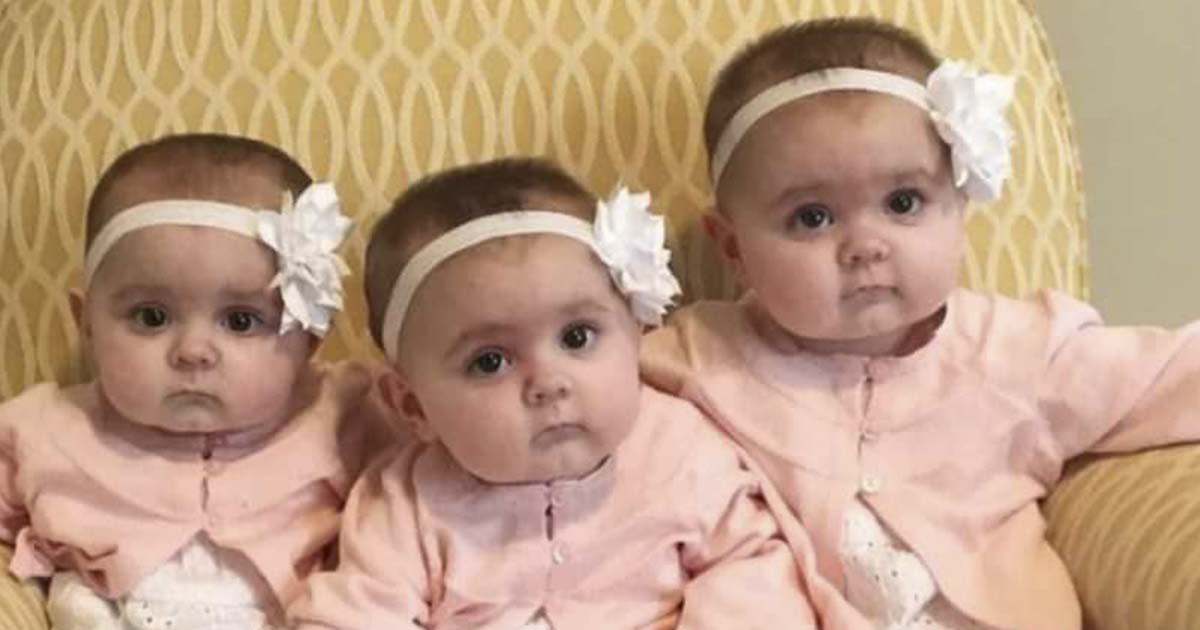 Elnaz, Tanaz, and Golnaz, the Identical Triplets Taking Over the ...