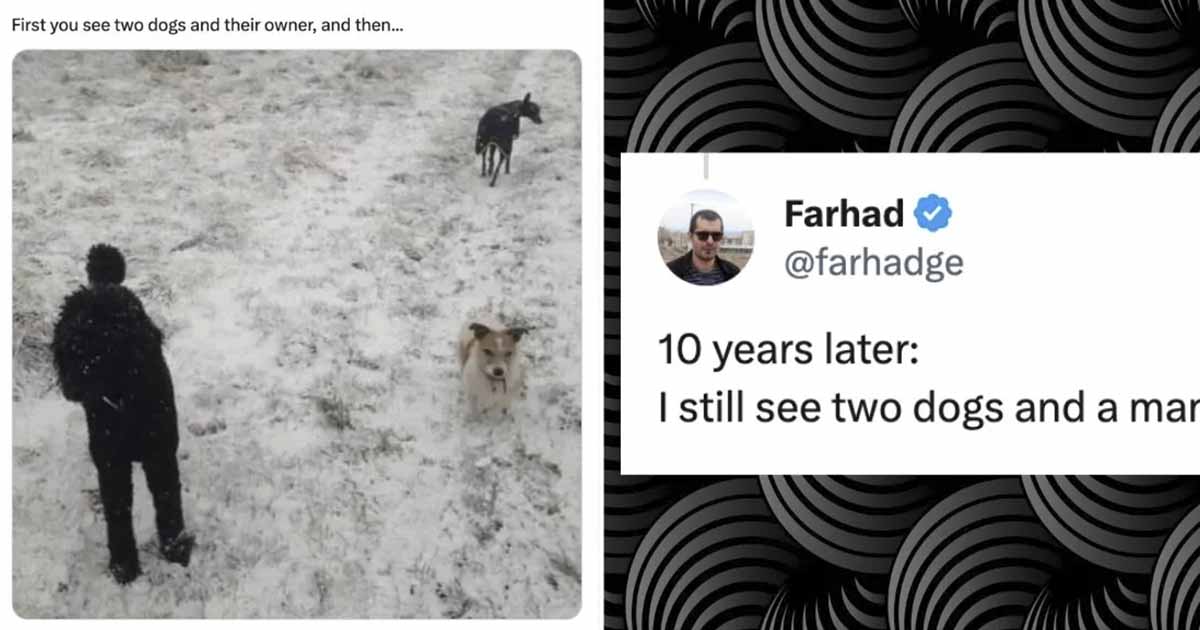 Optical Illusion That Looks Like a Person With Two Dogs Has The ...